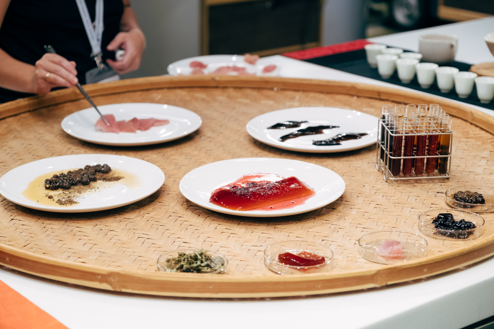 How do you feel about eating bat - Sheffield event - LIFT